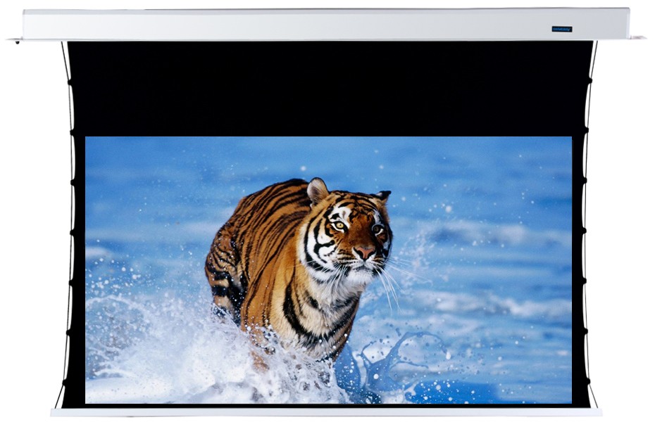 Motorised Tab-Tension Screen | Rapallo