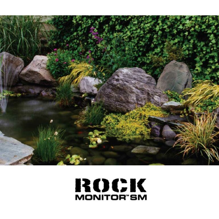 Paradigm Rock Monitor 60-SM Single Speaker System with Stereo L/R ...