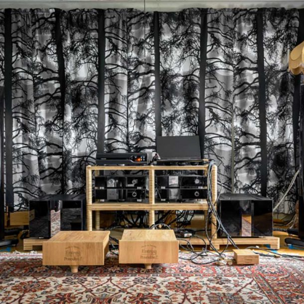 Entreq Silver Tellus II Ground Box | Rapallo